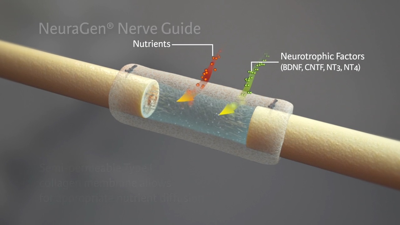 NeuraGen / NeuraWrap – en.Life news platform