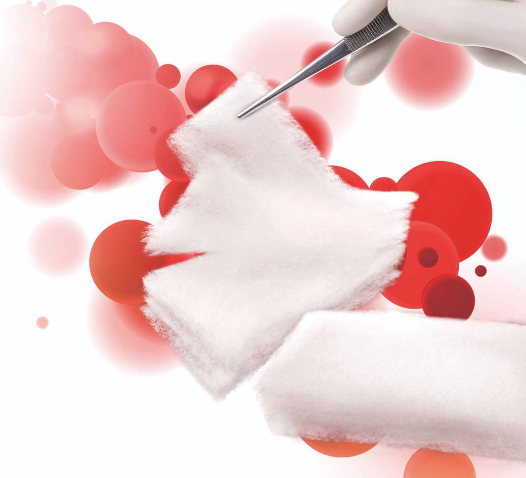 Hemostatic StypCel – Experiment preclinic pe modelul porcin – en.Life news